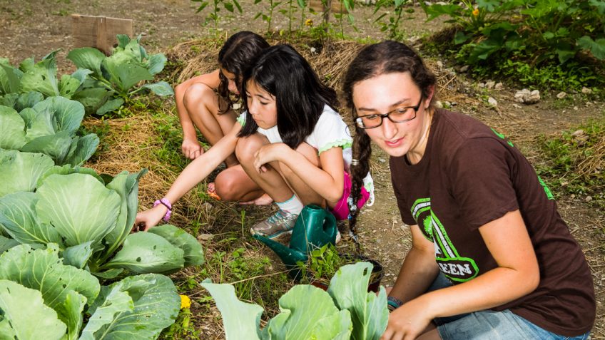girls-in-garden - Camp Young Judaea Sprout Lake